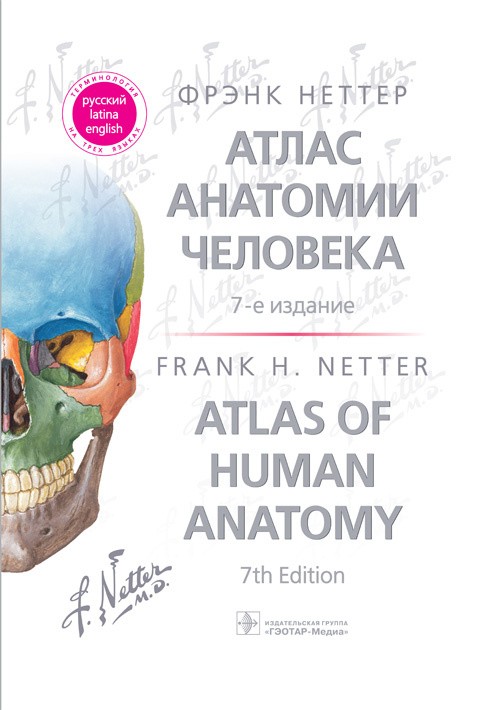 Фрэнк Неттер Атлас анатомии человека